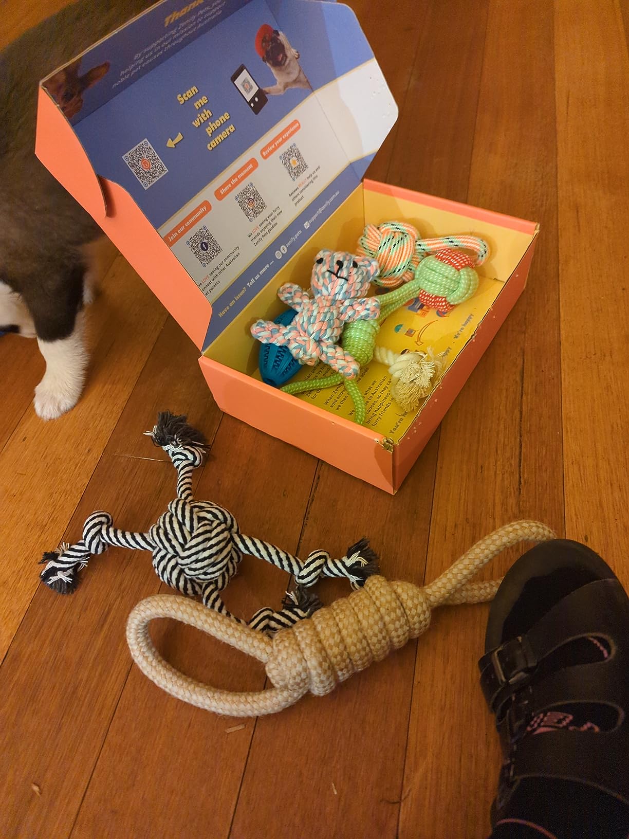 Zenify Puppy Dog Toys Gift Box - Pet Interactive Dog Rope Toy Starter ...