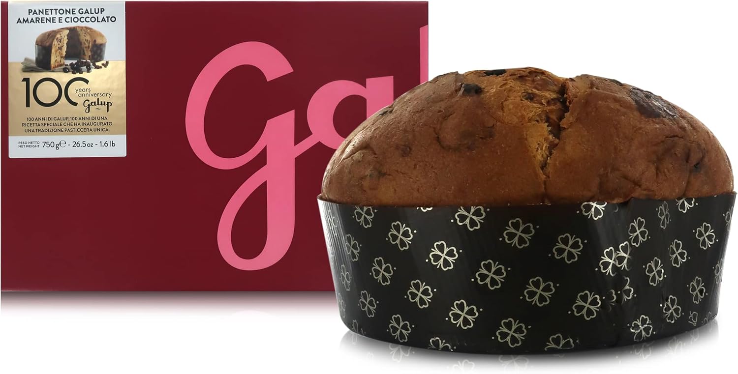 Galup Panettone Italien avec Cerise Noire Confite et Chocolat, sans ...