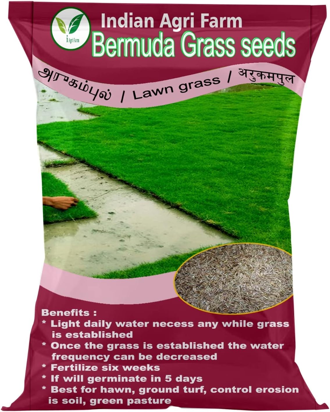 Iagrifarm Bermuda Grass Seed - 500 gram/Lawn Grass Seed/Ever Green Grass Seed for Lawn, Sport ...