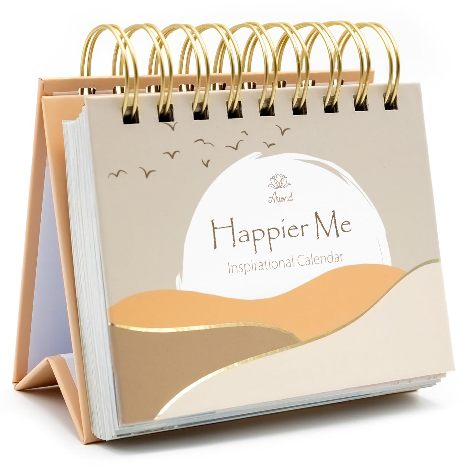 Motivational Desk Calendar - Perpetual Daily Flip Calendar with Daily ...