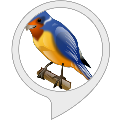 Amazon.com: Relaxing audio: Bird Sounds : Alexa Skills