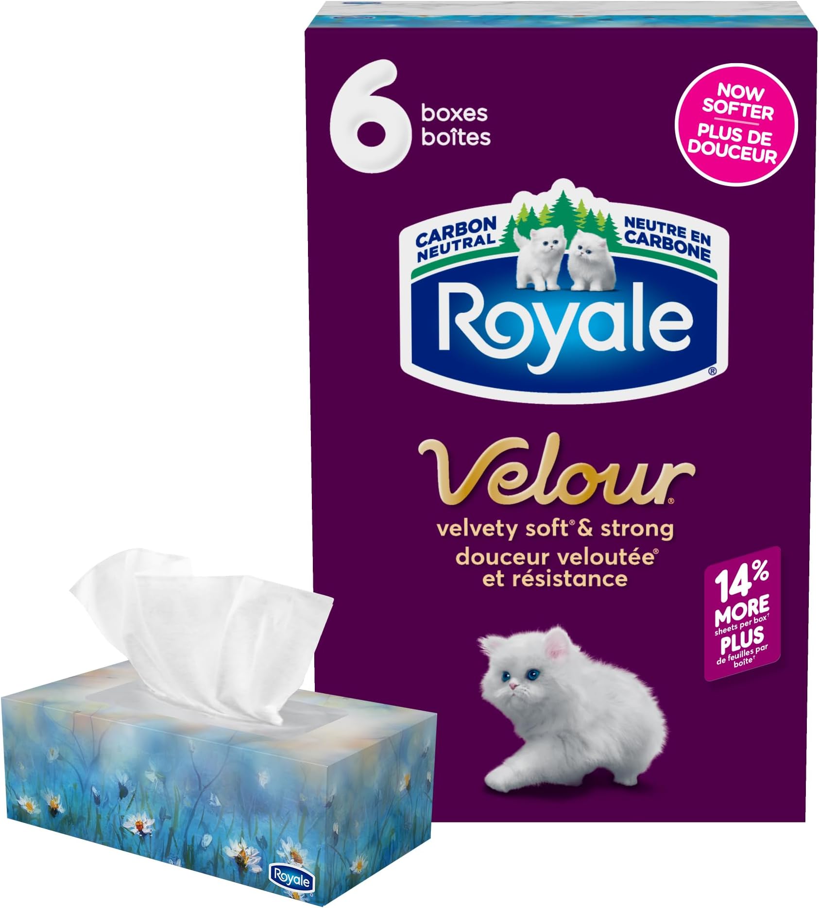 Royale Velour 3 Ply Facial Tissue, 6 Tissue Boxes, 82 Tissues per Box ...