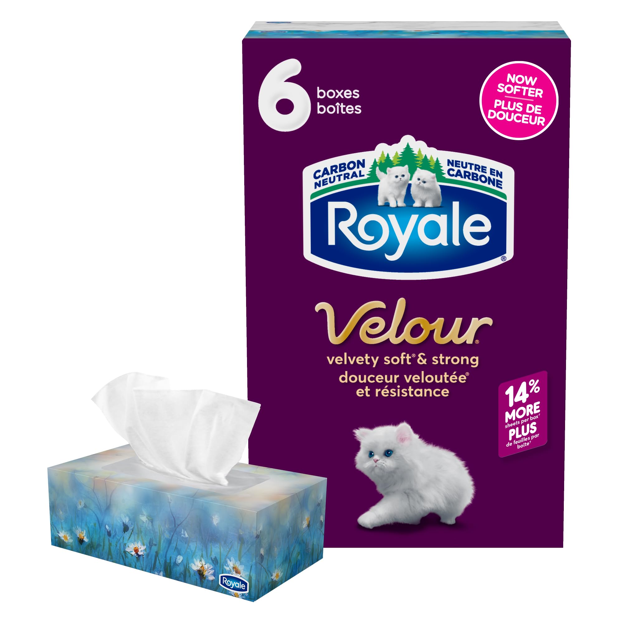 Royale Velour 3 Ply Facial Tissue, 6 Tissue Boxes, 82 Tissues per Box ...