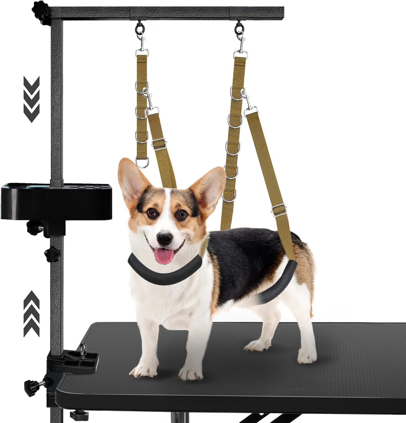 Amazon.com: Huioqwe Dog Grooming Table Arm with Clamp and Grooming Tool ...