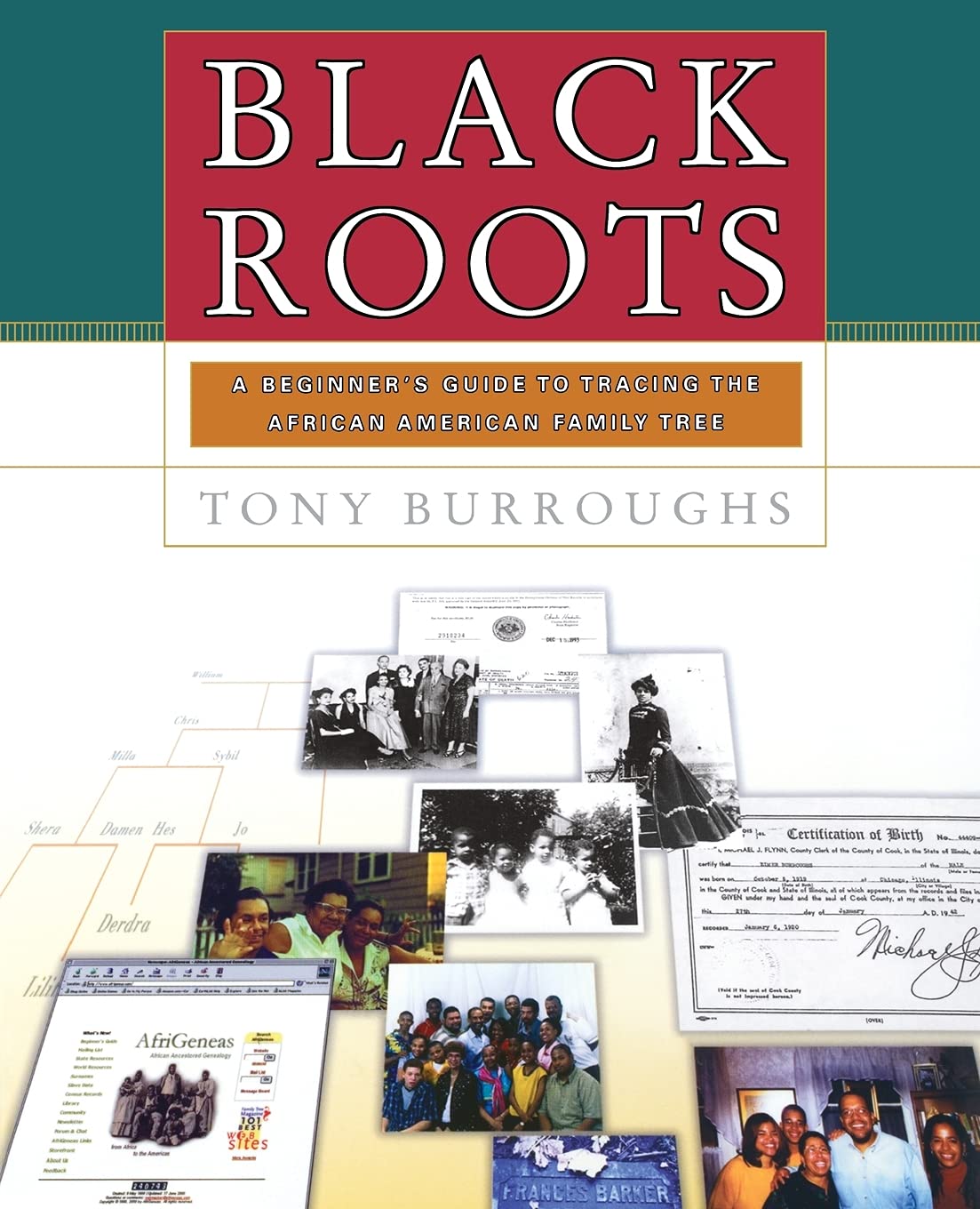 Buy Black Roots: A Beginners Guide To Tracing The African American ...