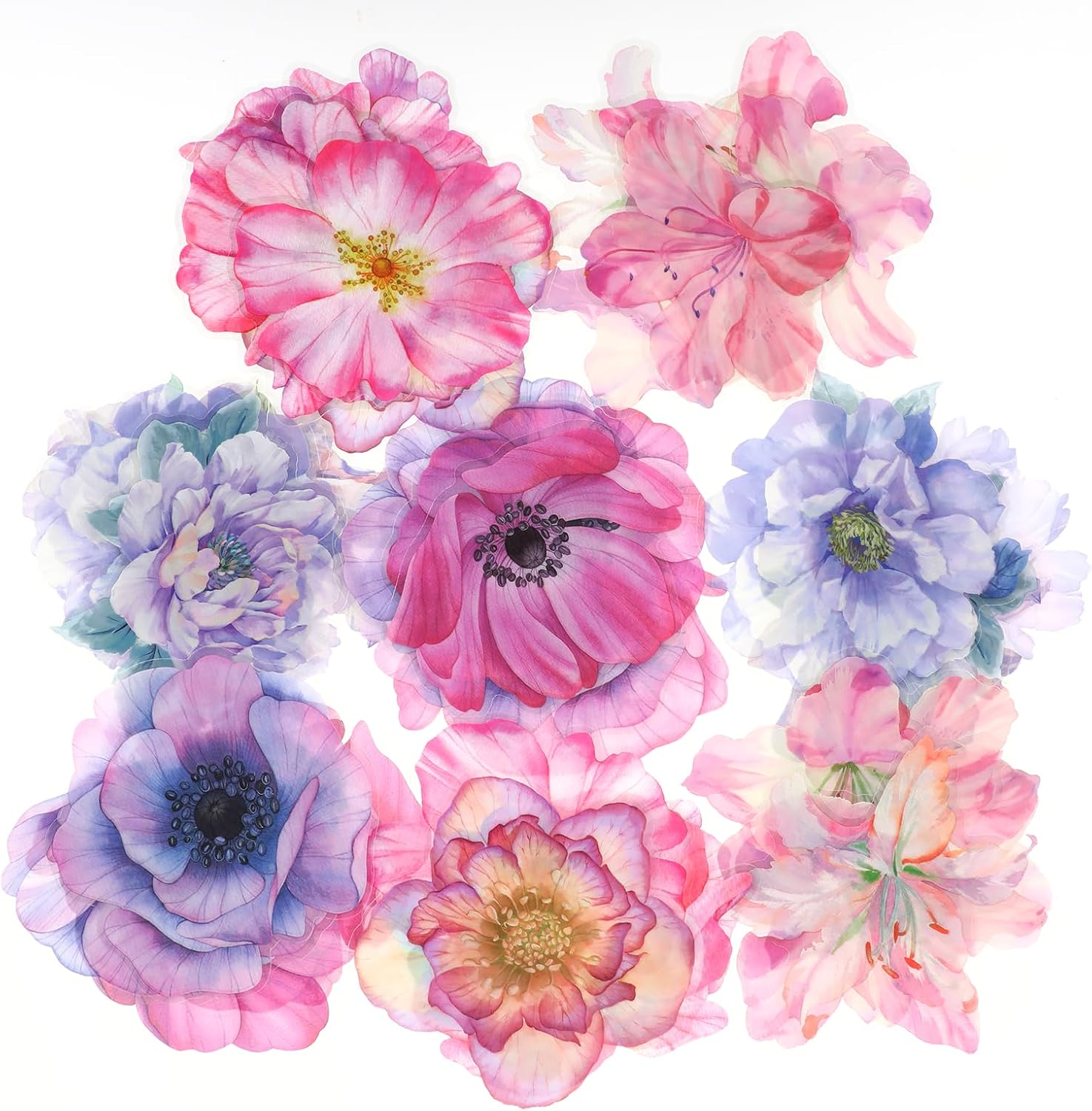 Amazon.com: 40 Pcs Large Size Transparent Flower Stickers, Waterproof ...