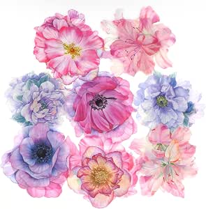 Amazon.com: 40 Pcs Large Size Transparent Flower Stickers, Waterproof ...