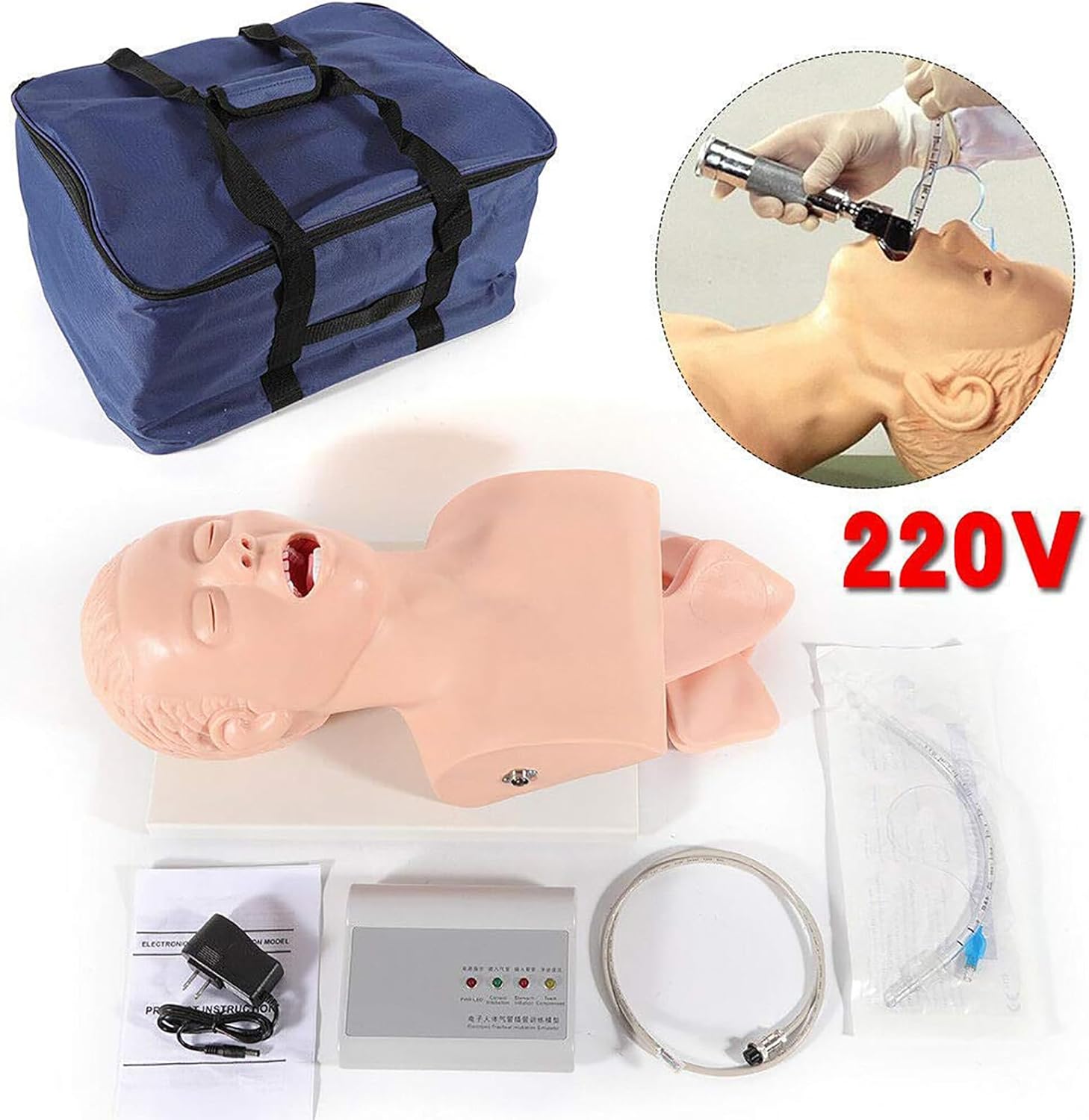Intubation Trainer Manikin Teaching Model, PVC Adult Philippines | Ubuy
