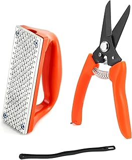 Goat Grooming Guide: Tips For Beginners | PetShun