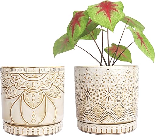 Amazon.com: YFFSRJDJ 6 Inch Indoor Plant Pots with Drainage Holes and ...