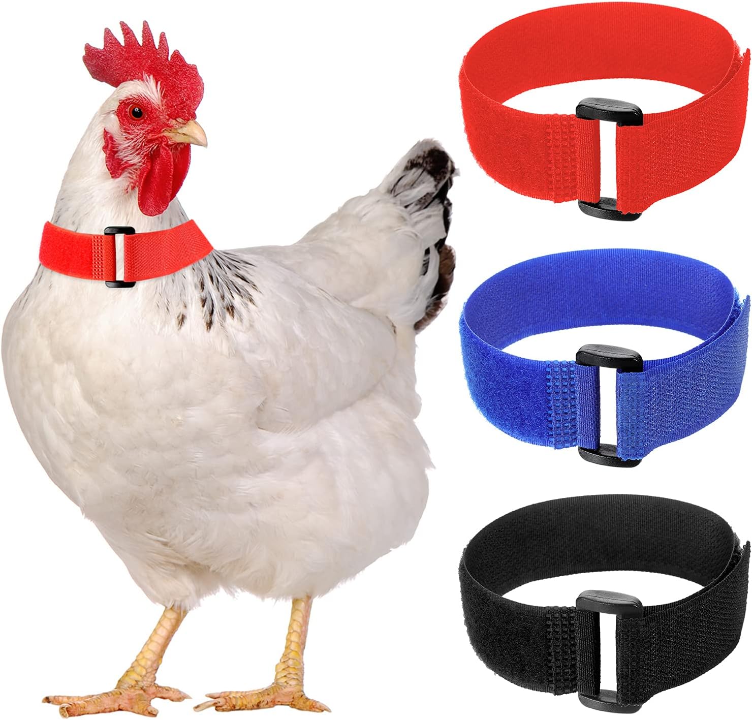 Buy 6 Pieces Anti Crow Rooster Collar Anti Noise Nylon Neck Belt ...