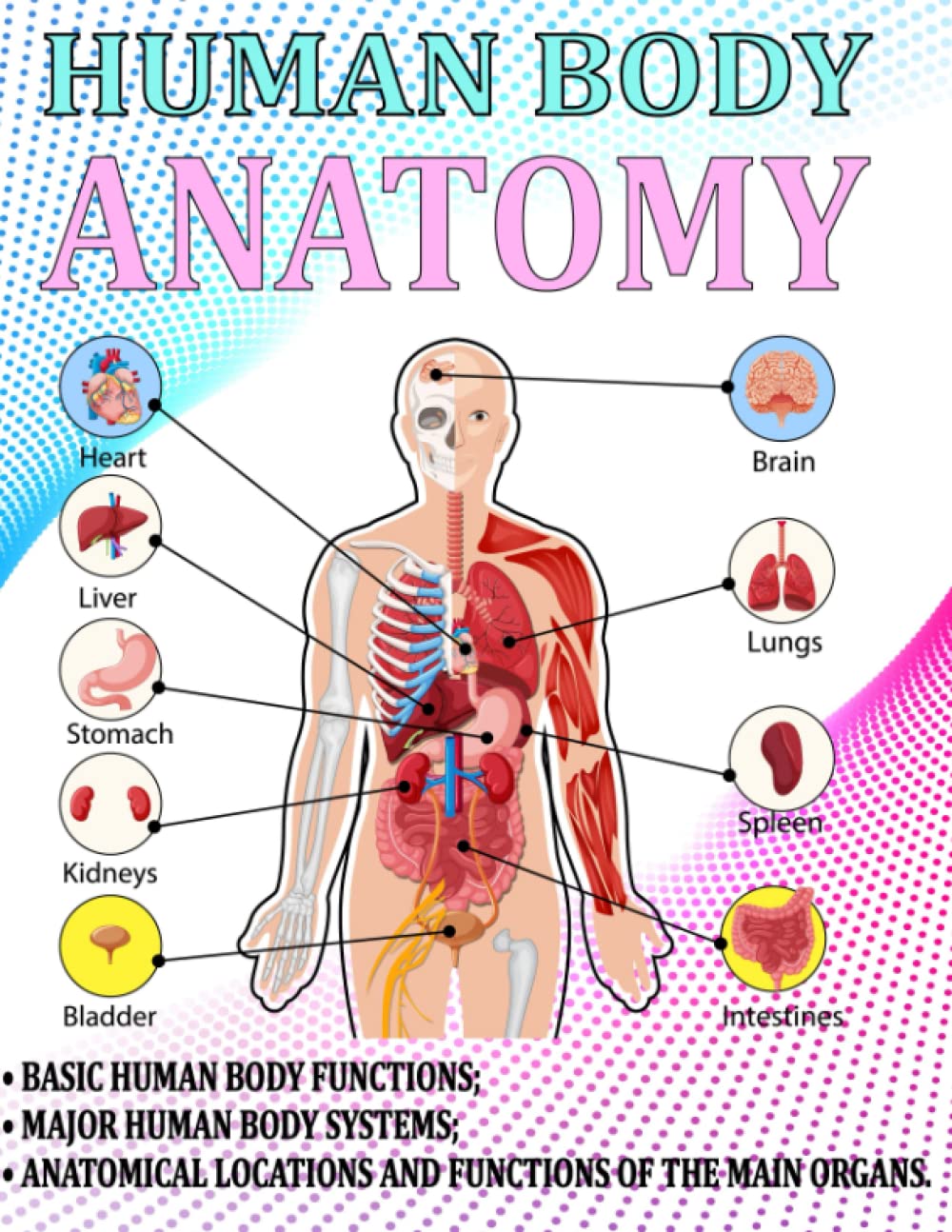 Buy HUMAN BODY ANATOMY.: •How do our part body work, • Basic human body ...