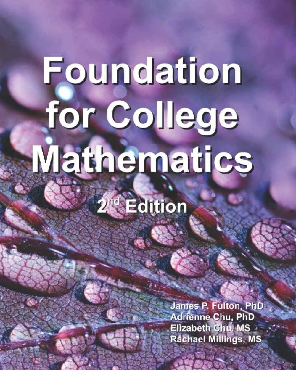 Foundation for College Mathematics: Fulton, Dr. James P., Chu, Dr ...