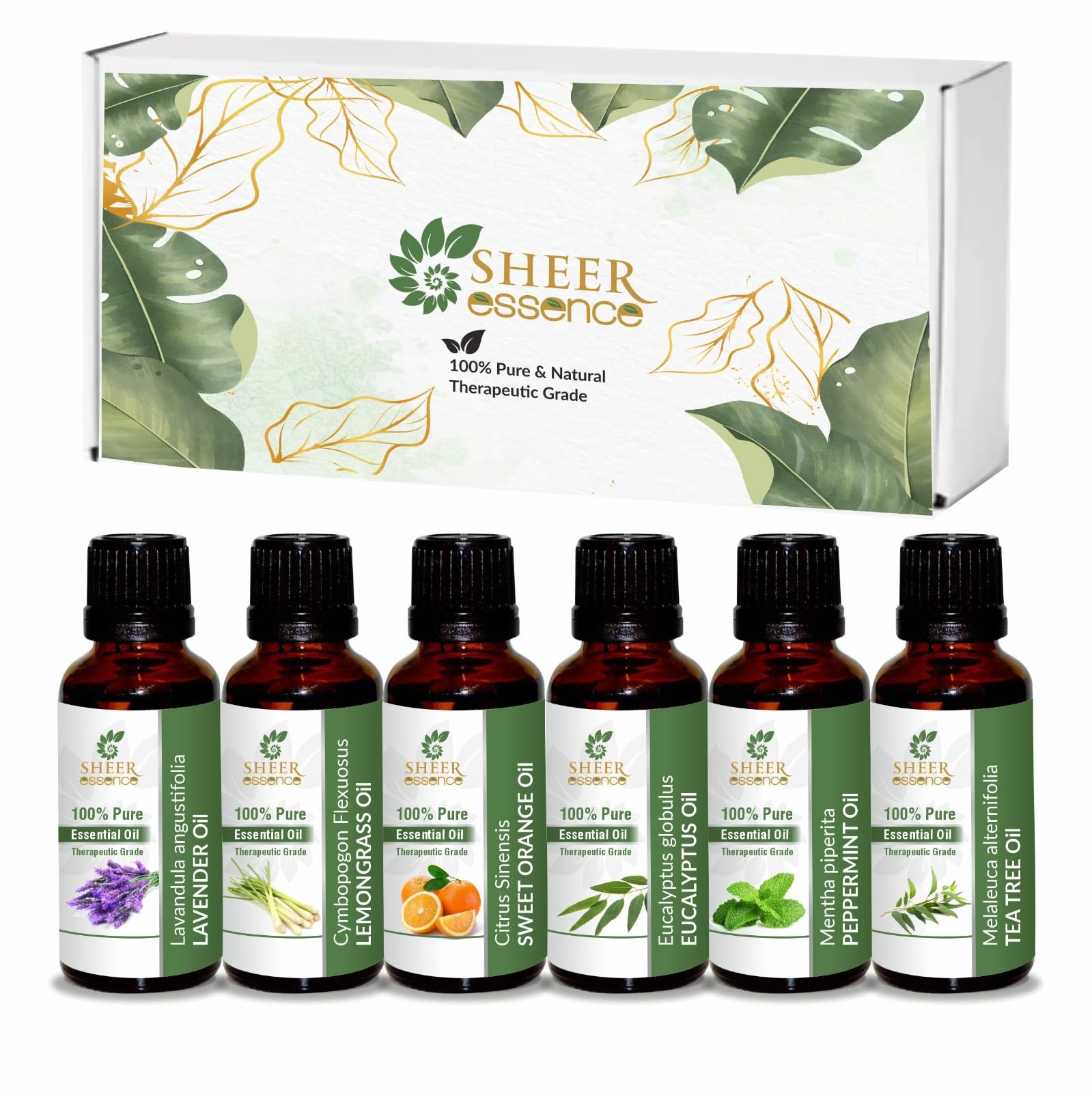 Amazon.com: Sheer Essence Essential Oils Set - 6 x 15ml - Top 6 Blends ...