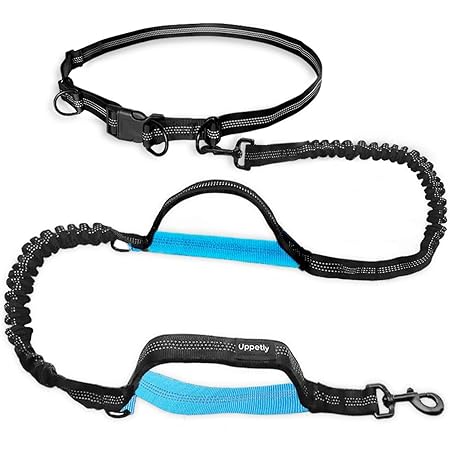 Amazon.com : Hands Free Dog Leash for Running Walking Jogging Training ...