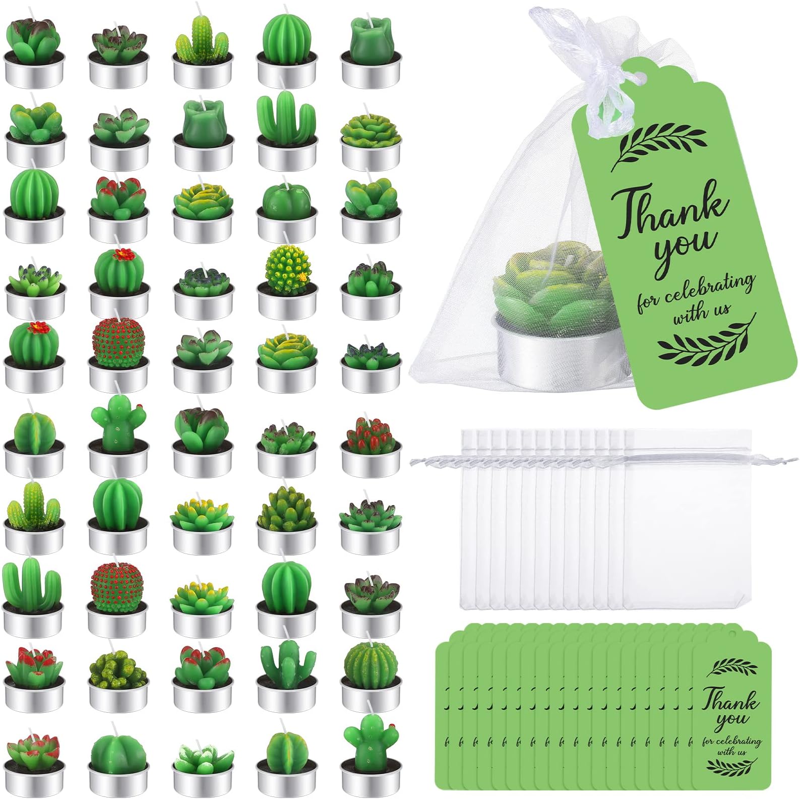 Amazon.com: Loopeer 50 Sets Cactus Candles Succulent Candles with 50 ...