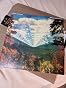 Innerspeaker (Vinyl): Amazon.ca: Music