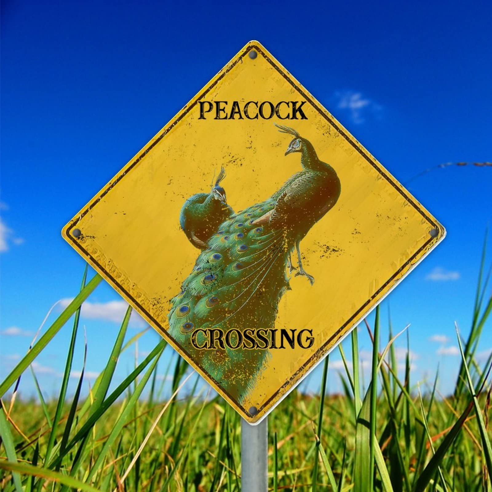 Peacock Crossing Sign