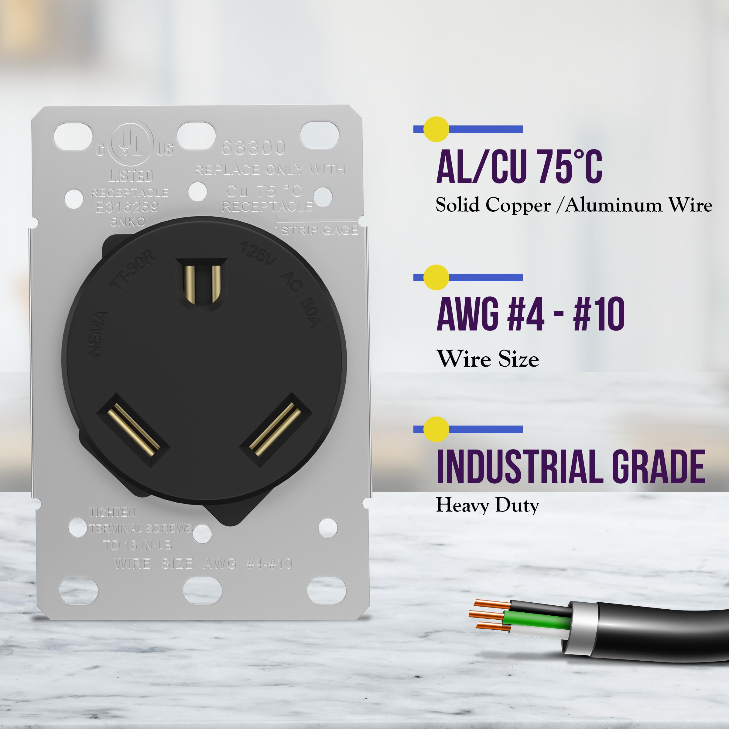 Snapklik.com : NEMA TT-30R Power Outlet, 30 Amp RV Travel Trailer, 2 ...