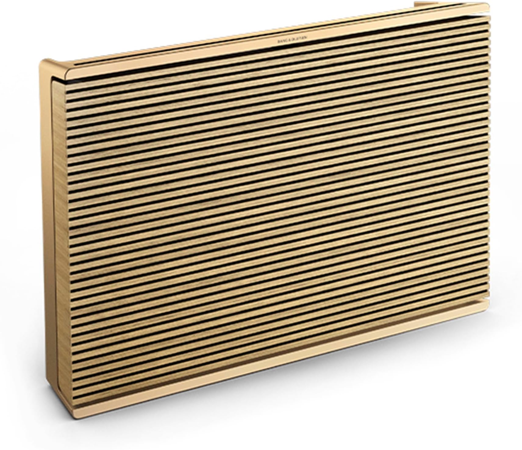 Amazon.com: Bang & Olufsen Beosound Level Portable Wi-Fi Multiroom ...