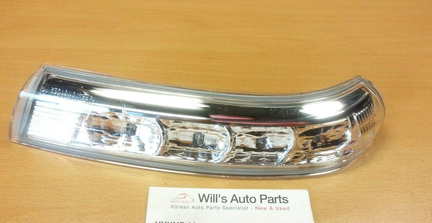 Amazon.com: Genuine Hyundai 87613-3J000 Mirror Lamp Assembly, Exterior ...