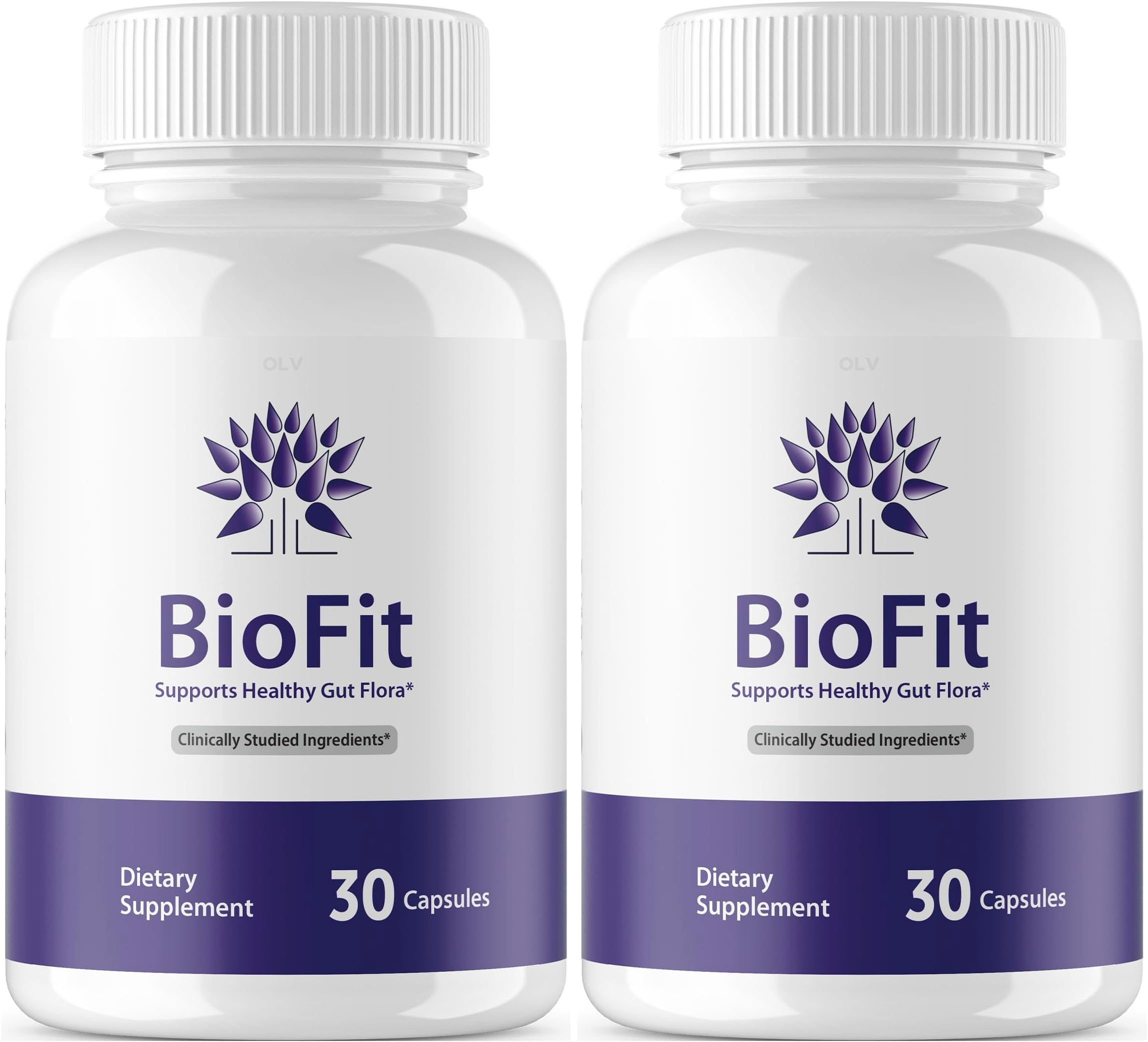 Amazon.com: (2 Pack) Biofit - Biofit Pills, Biofit 60 Capsules for 60 ...