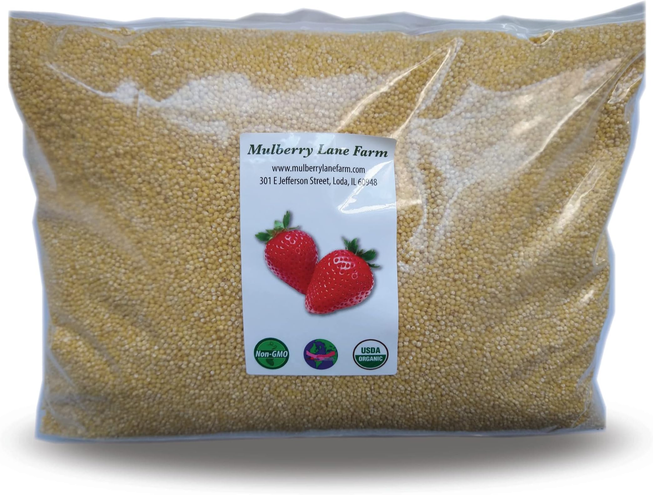Amazon.com : Millet Hulled 5 Pounds USDA Certified Organic Non-GMO Bulk ...
