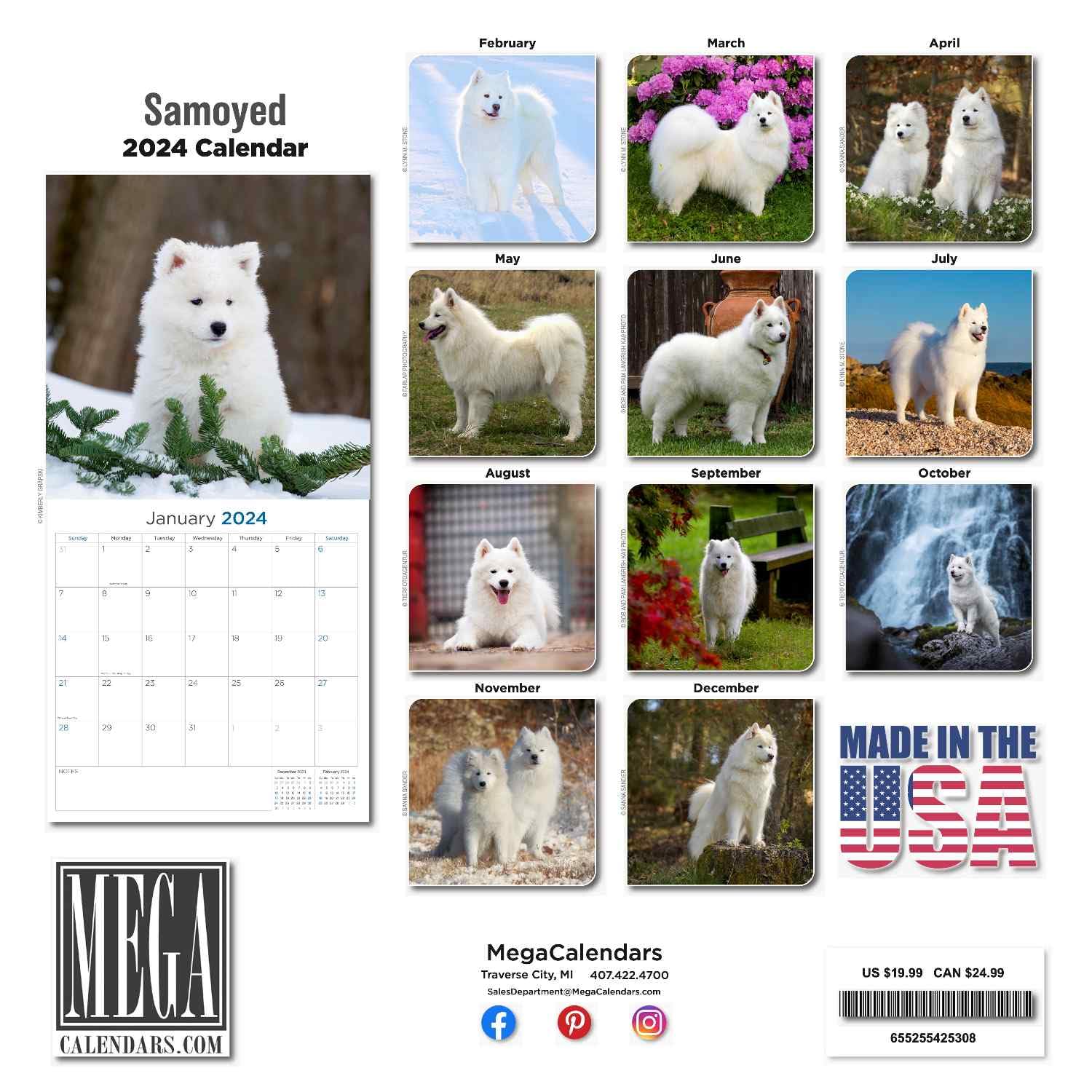 Snapklik.com : Samoyed Calendar 2024 - Dog Breed Wall Calendar