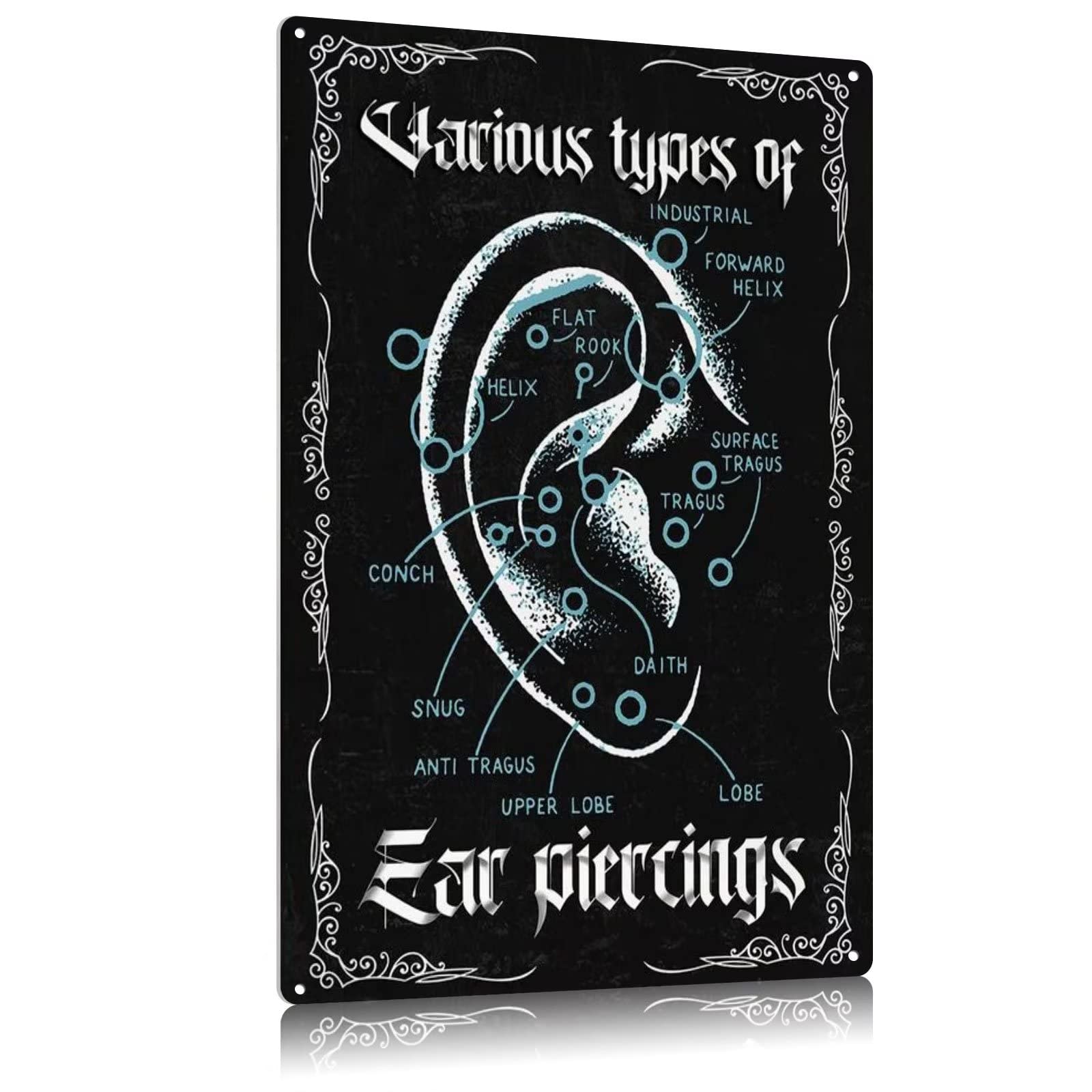 Buy Ear Piercing Knowledge Metal Tin Signs Various Types Of Ear ...