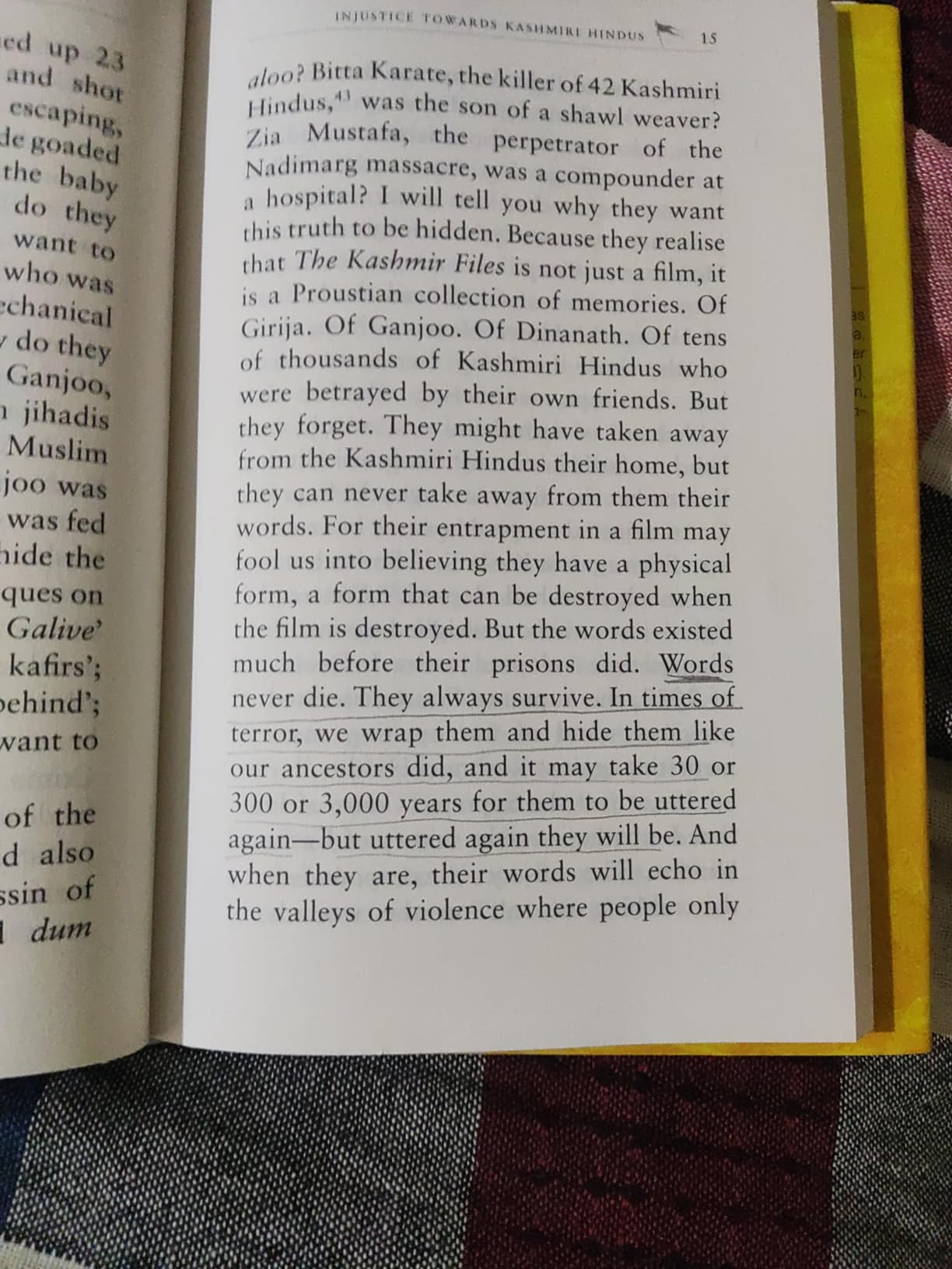 Buy Hindus in Hindu Rashtra (Eighth-Class Citizens and Victims of State ...