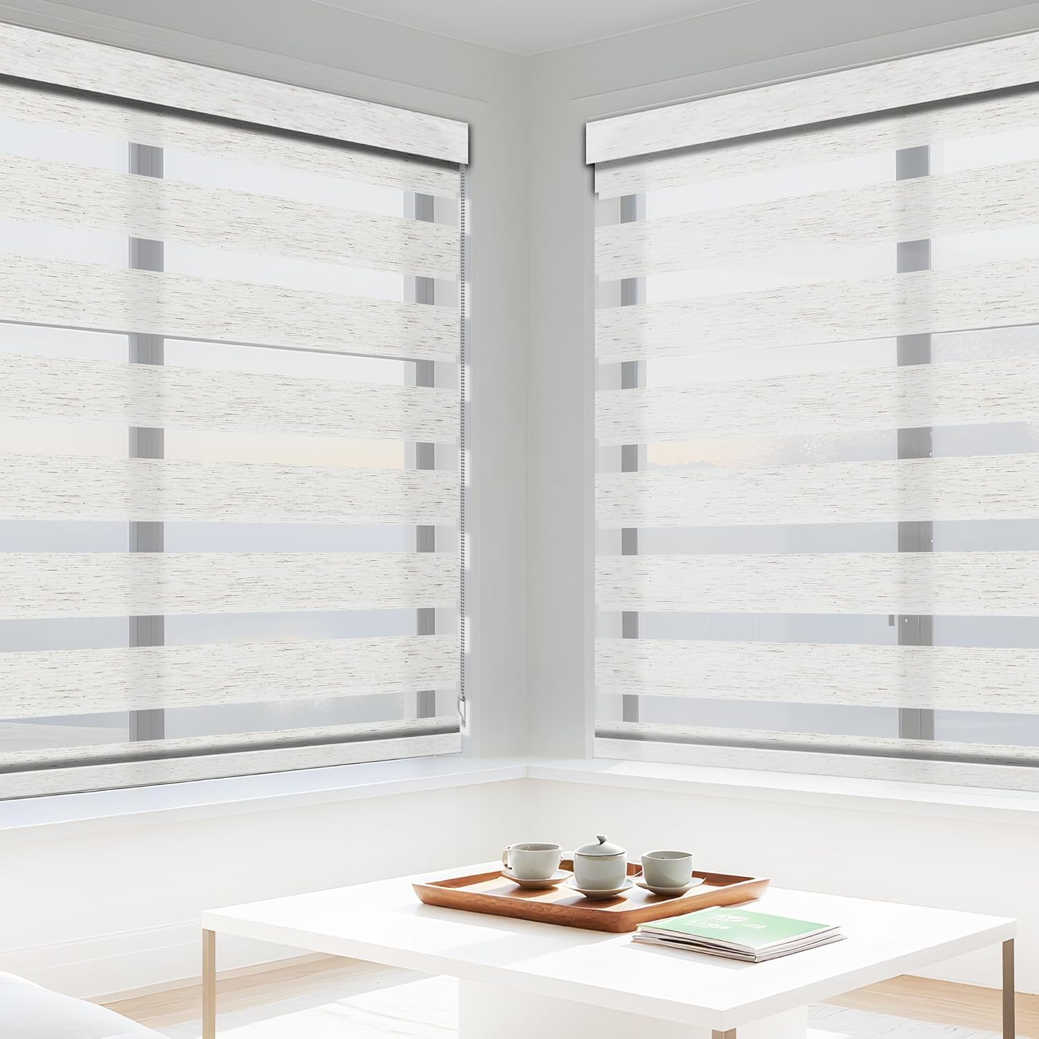 Amazon.com: MoDanCeQ Custom Size Zebra Blinds for Windows,Privacy Zebra ...
