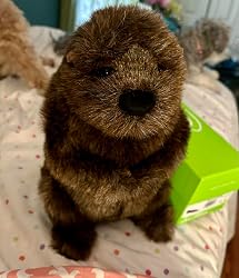 Amazon.com: Douglas Chuckwood Groundhog Woodchuck Plush Stuffed Animal ...