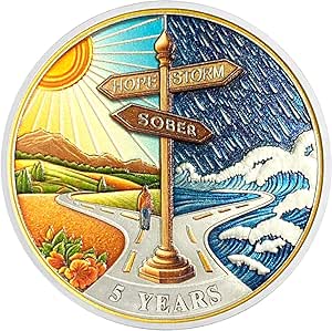 Amazon.com: 5 Year Sobriety Coin Gifts | Road Sign Sobriety AA Coins ...