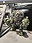 Amazon.com: Papo - Stone Golem - Realistic Figurine - for Ages 3 ...