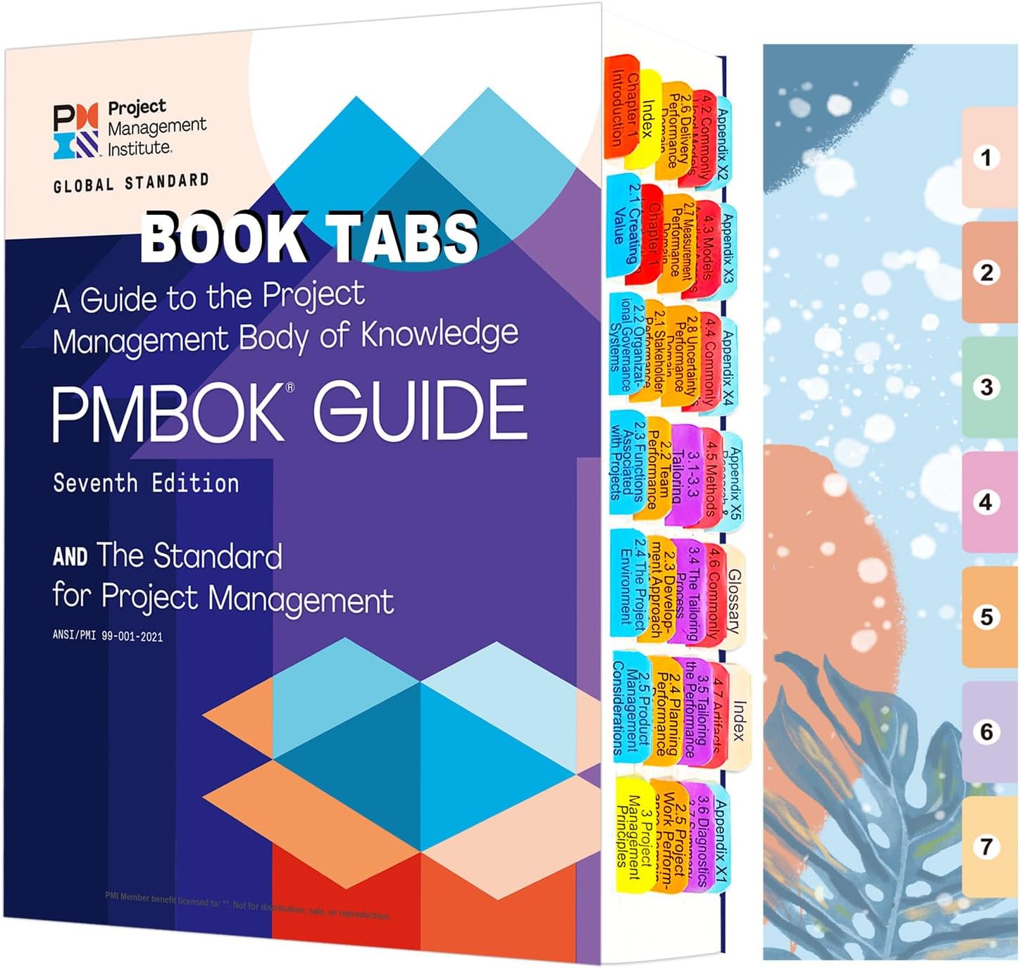 Amazon.com : Index Tabs for PMBOK 7th Edition and The Standard for Project Management,56 Color ...