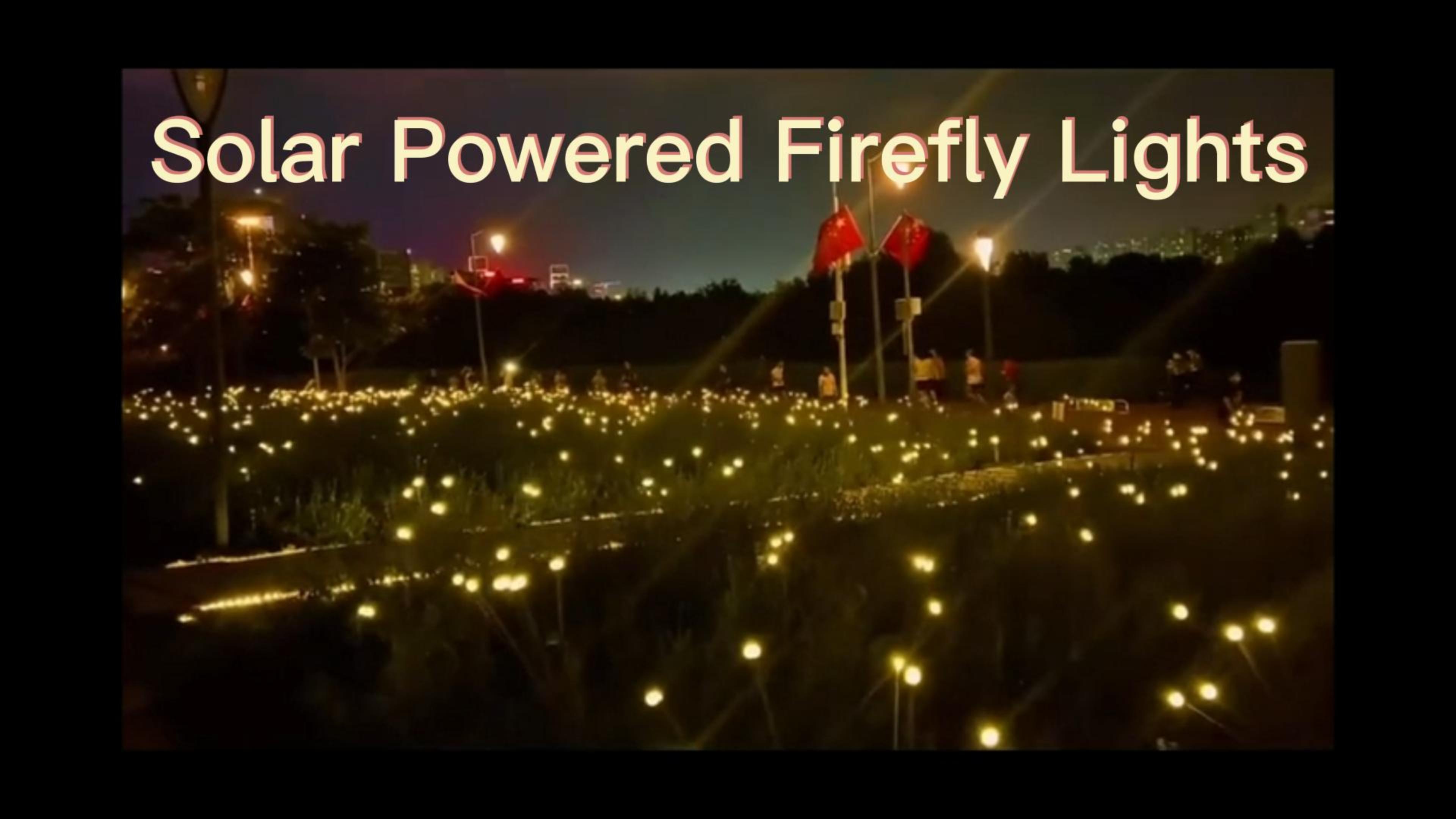 Watch Watch The Firefly ＇＇Dancing＇＇-Solar Garden Firefly Lights on ...