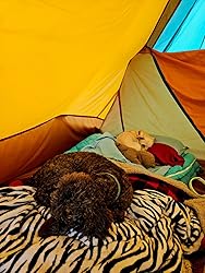Amazon.com : Eureka! Timberline 2 - Tent (sleeps 2), Green ...