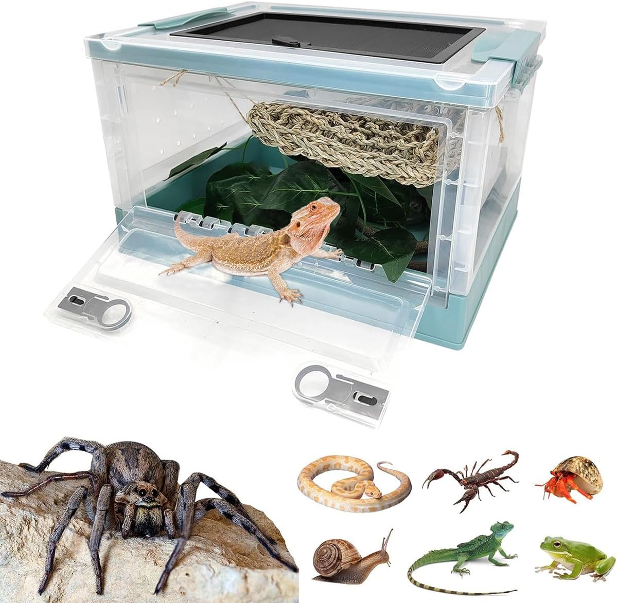 Terrario para Reptiles Plegable, Caja de Cría Alimentación Reptiles ...