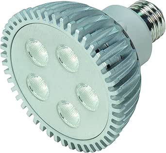 Amazon.com: KolourOne LED PAR30 Lamp in Silver Beam Angle: 40°, Color ...