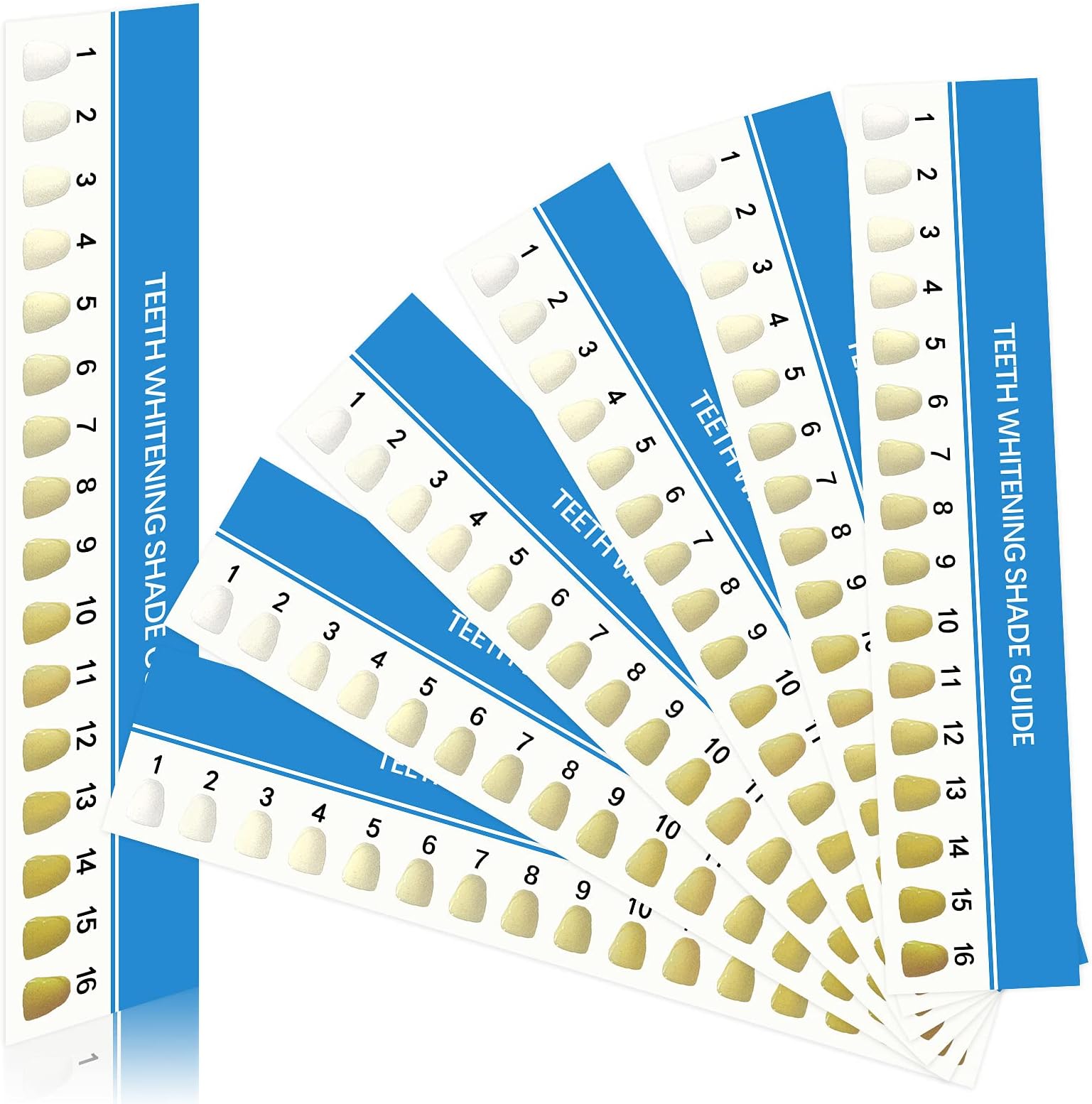 Amazon.com: 50 Pieces Teeth Shade Guide Teeth Whitening Shade Chart ...