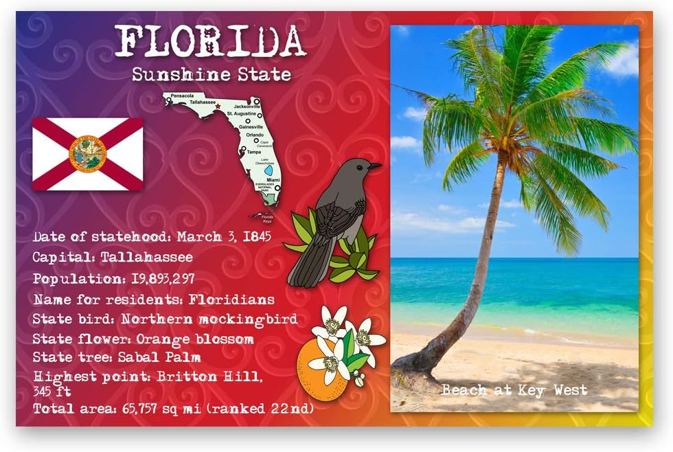 Amazon.com : FLORIDA STATE FACTS postcard set of 20 identical postcards ...