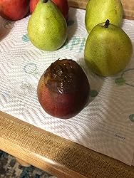 Amazon.com : A Gift Inside Sympathy Fruit Favorites Basket : Everything ...