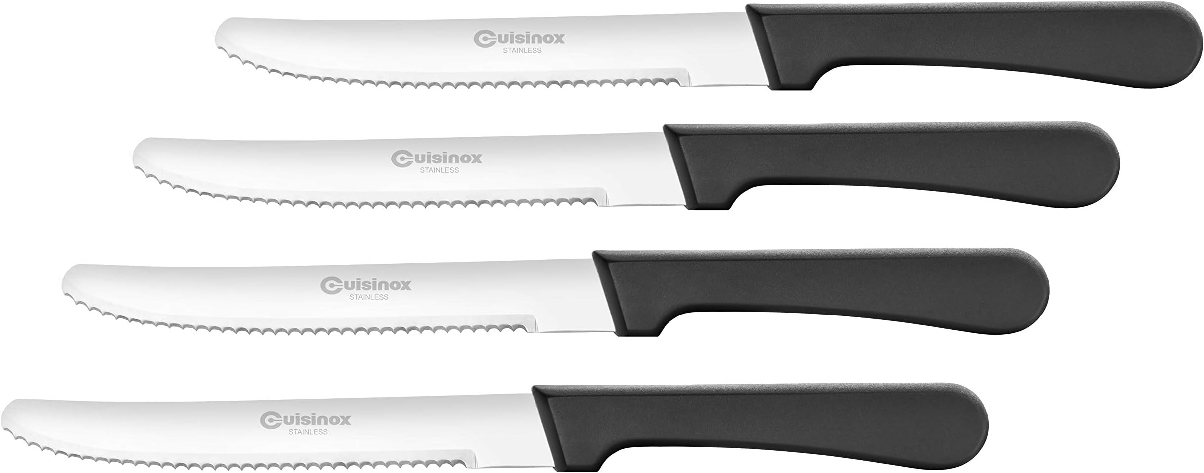 Amazon.com: Round Tip Steak Knife with Plastic Handle, 5 Inch Blade ...