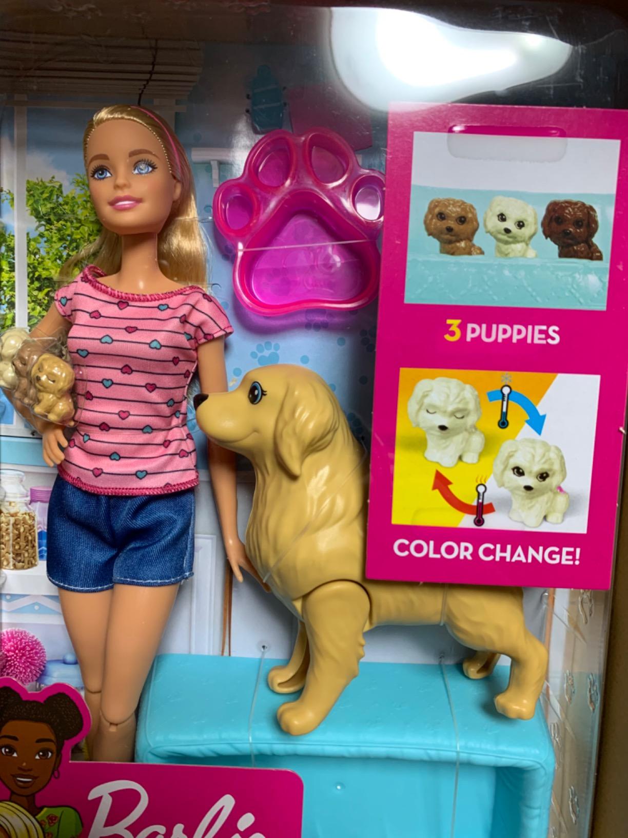 Amazon.co.jp: バービー(Barbie) おせわあそび バービー こいぬがたくさん! おせわセット 【着せ替え人形】【ドール ...