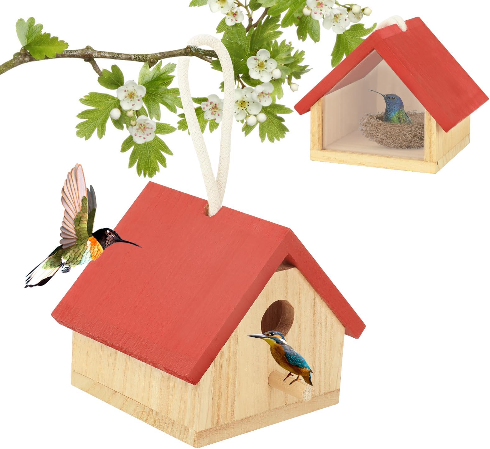 Amazon.com: 2 Pack Hummingbird House, Window View Wooden Bird Houses ...