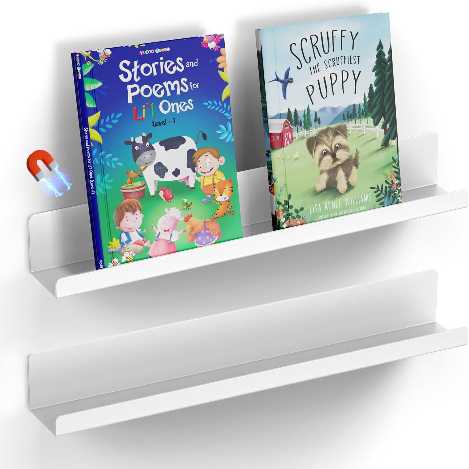 Amazon.com: Carmanon Magnetic Book Shelf for Whiteboard, Reusable ...