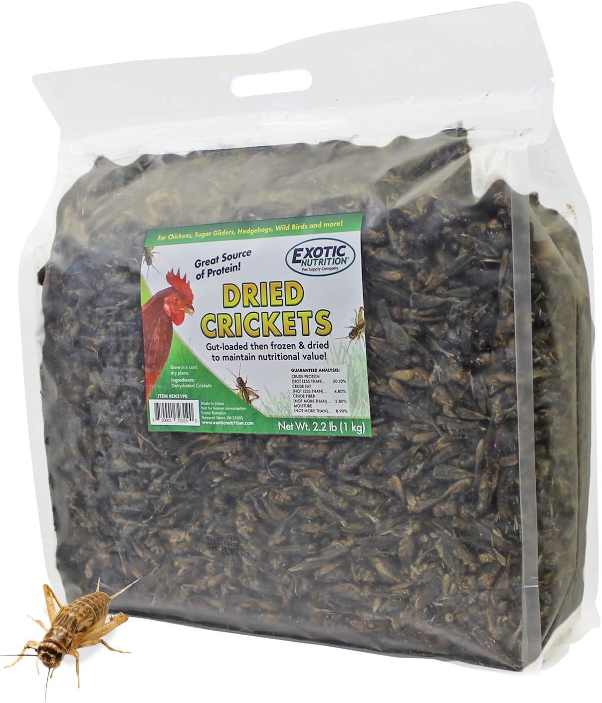 Buy Dried Crickets 2.2 lb. - High Protein Insect Treat - Chickens, Wild ...