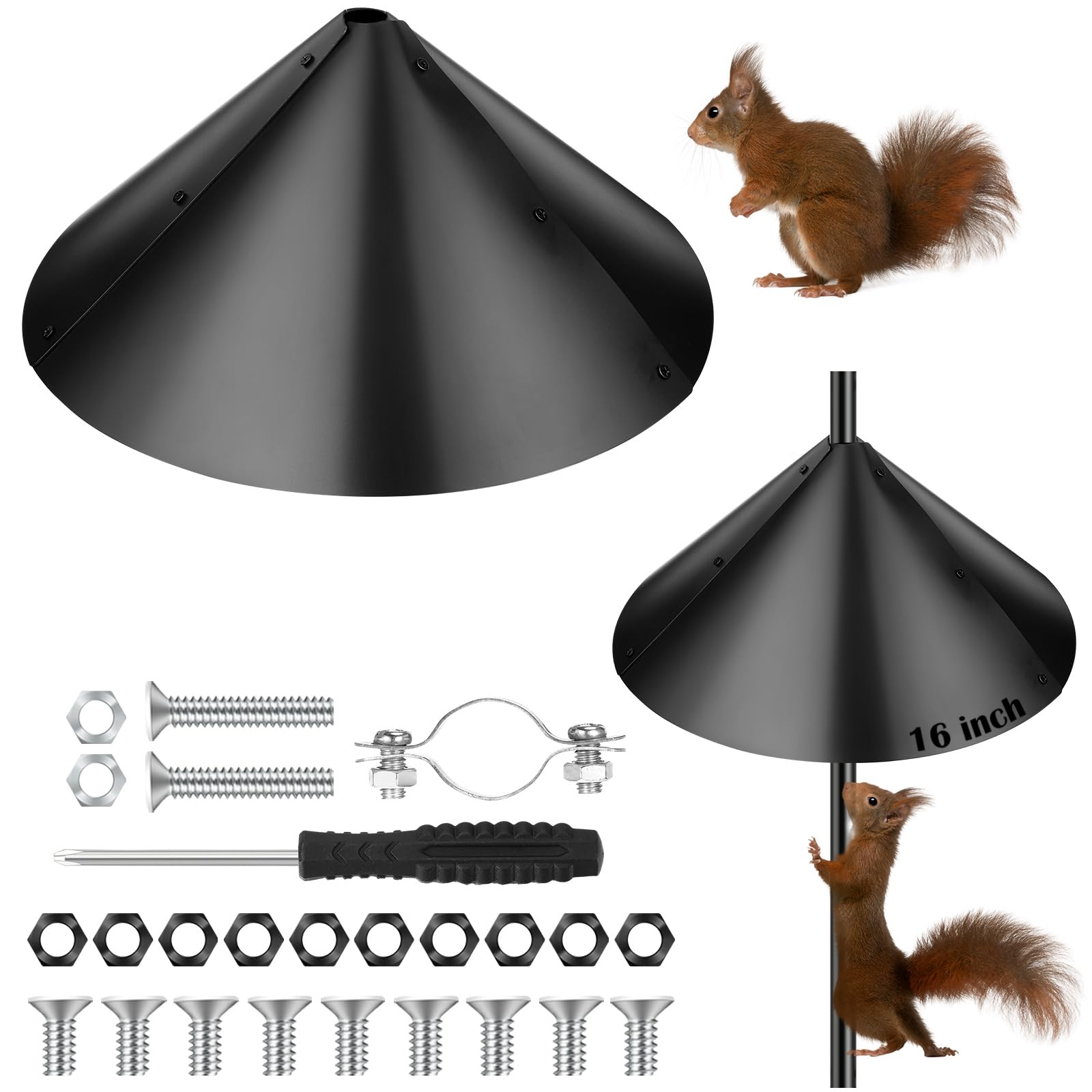 Amazon.com : Qualirey Squirrel Baffle for Bird Feeder Bird House Guard ...
