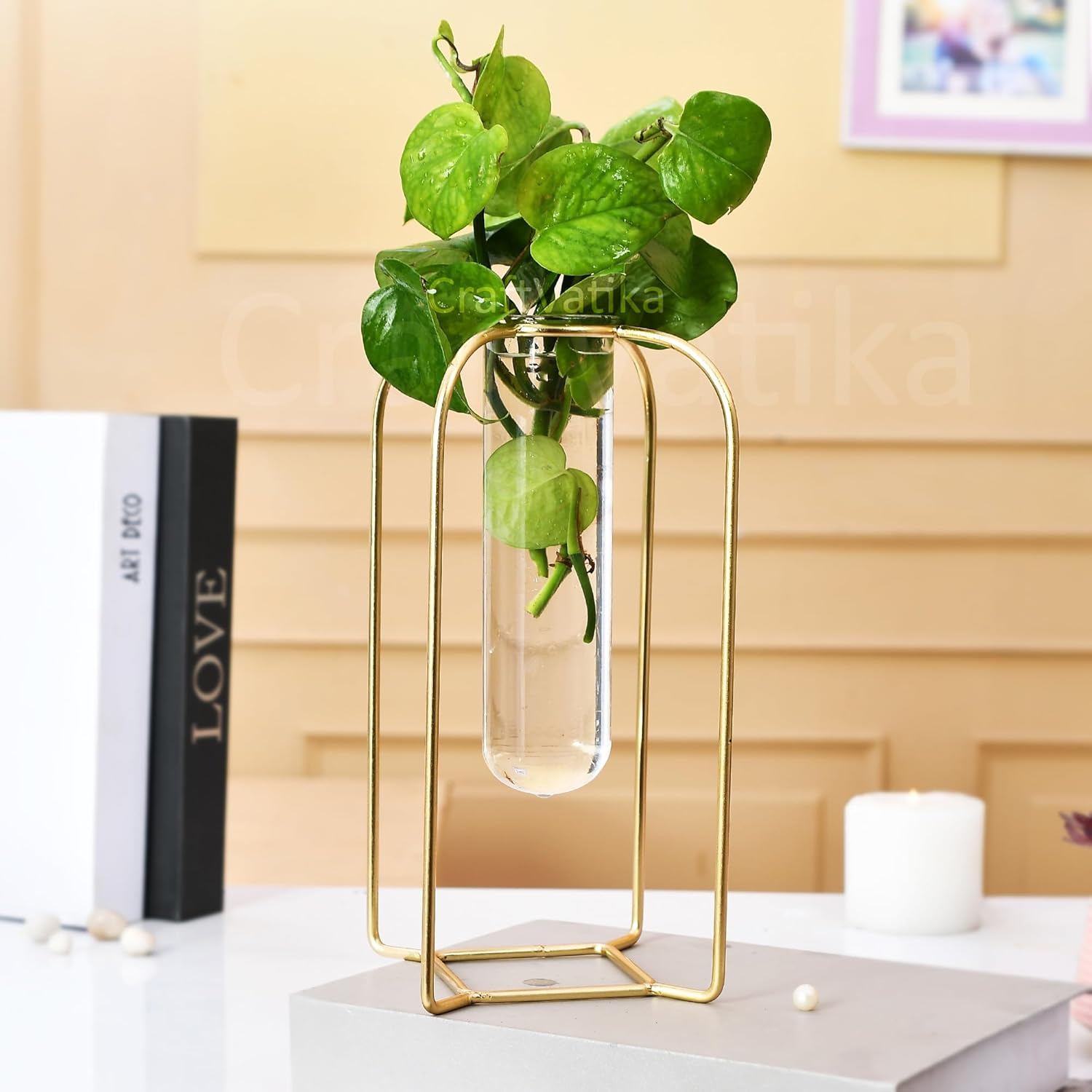Buy CraftVatika Glass Test Tube Vase with Metal Frame | Propagation ...