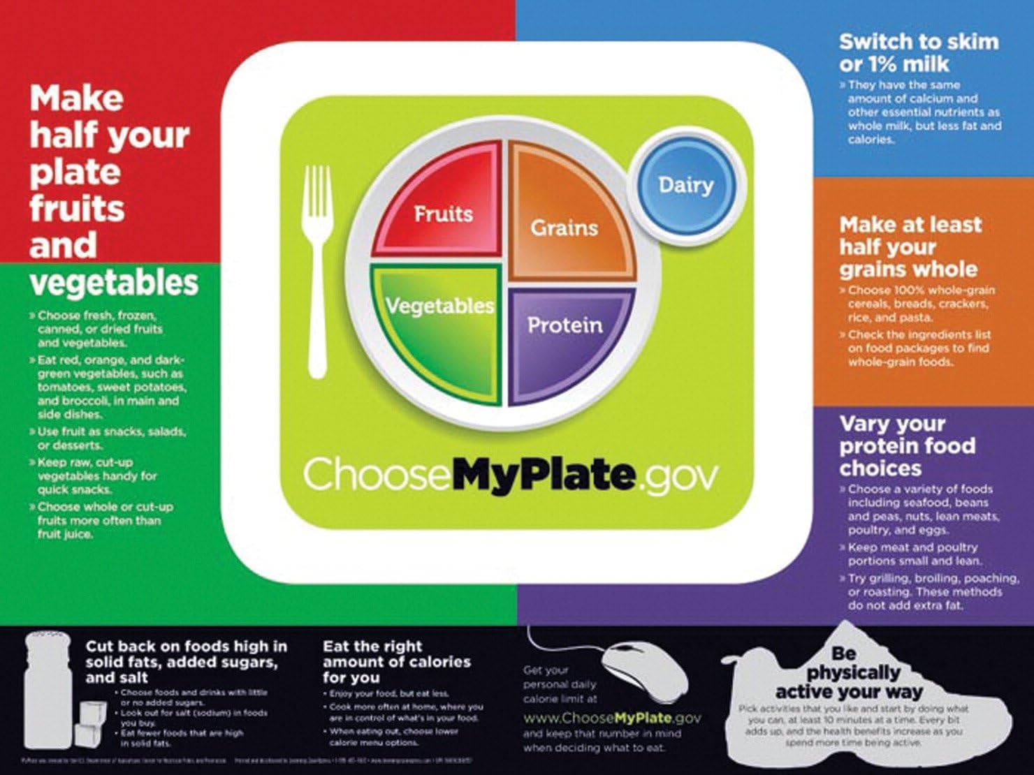 Amazon.com: MyPlate Poster (EA): Prints: Posters & Prints